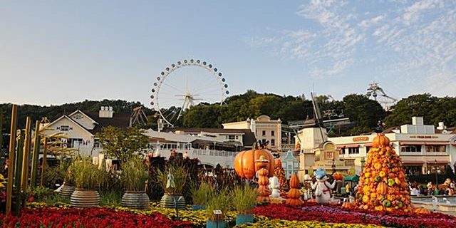 Everland Amusement Park | This is Korea Private Tour