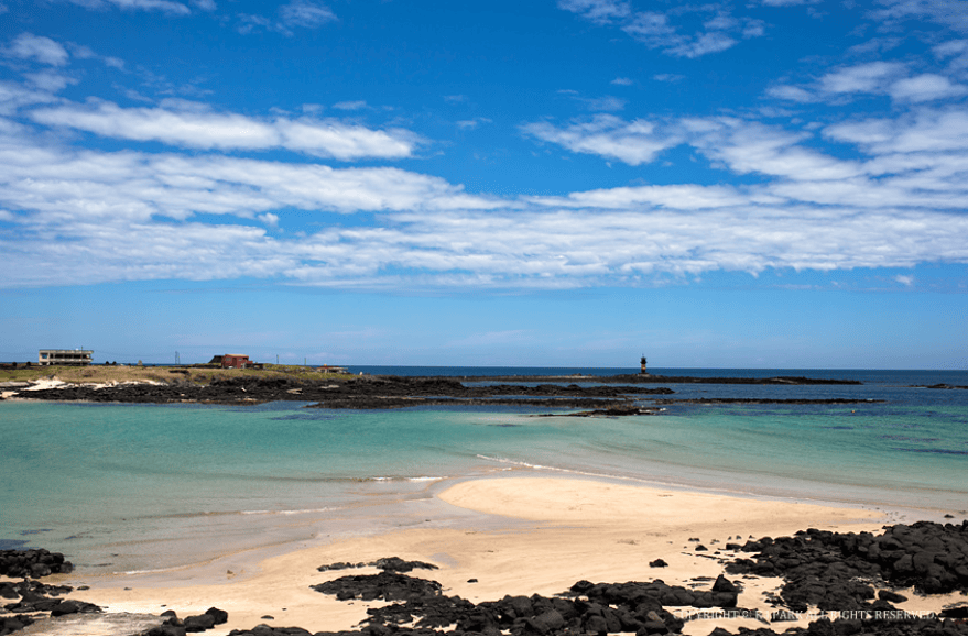 Udo Island: Mini Jeju | This Is Korea Tours