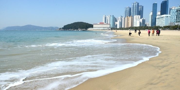 Nature embraces the City at Haeundae | This Is Korea Tours