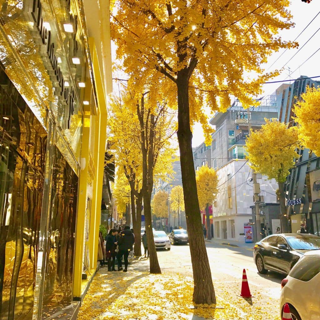 Seoul Autumn Foliage Tour | This Is Korea Tours